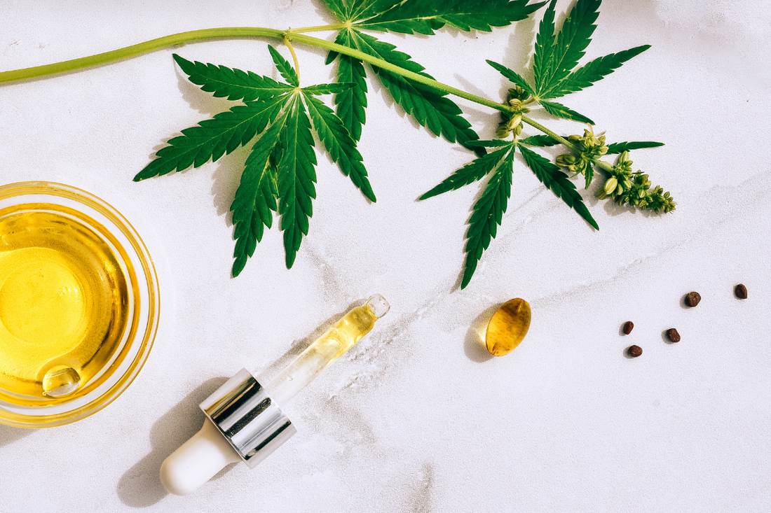 Understanding Thc Vs Cbd How They Work Differently In The Body Cma